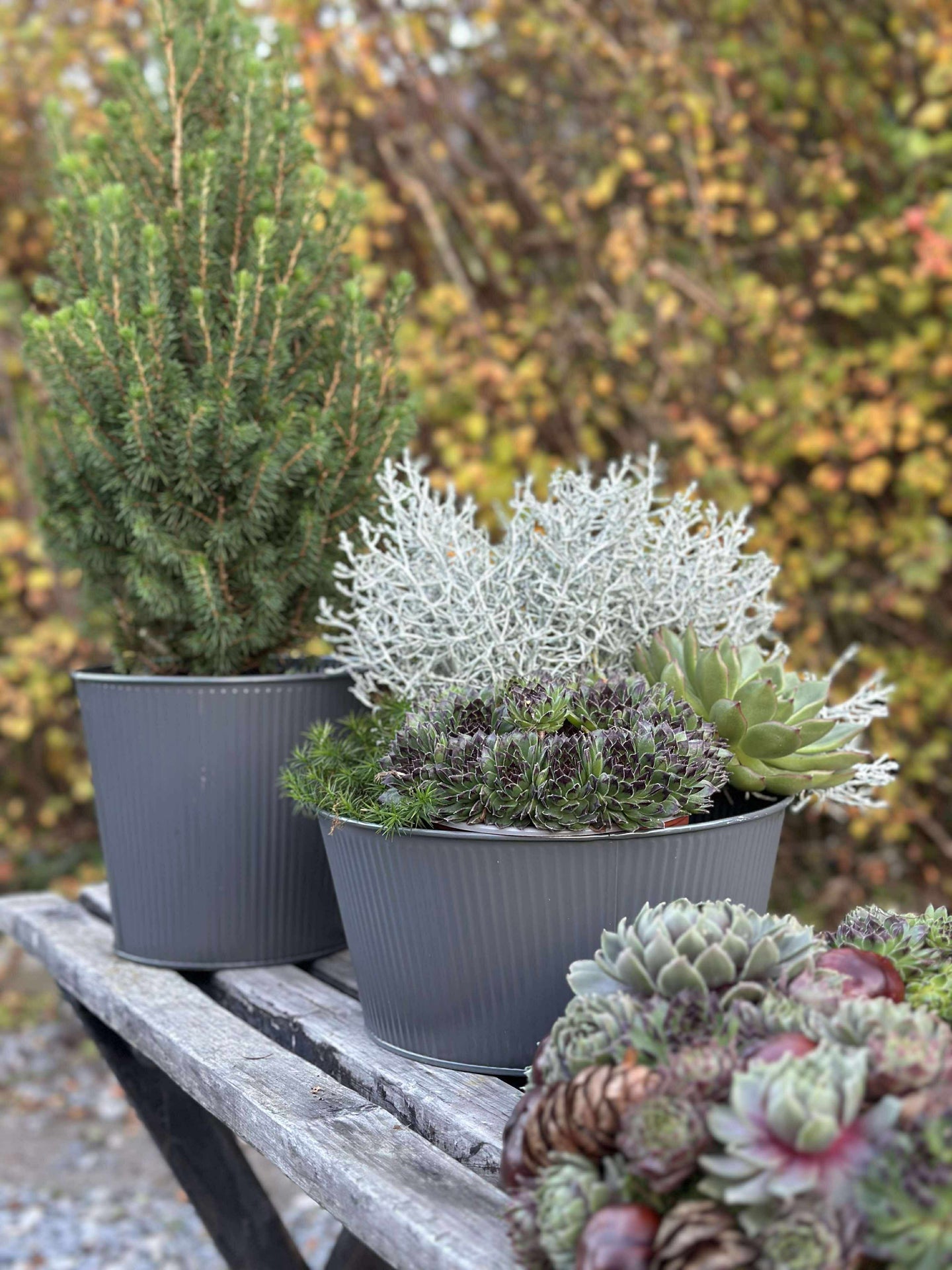 Skjuler med riller - Grå – VIAMAJA.DE