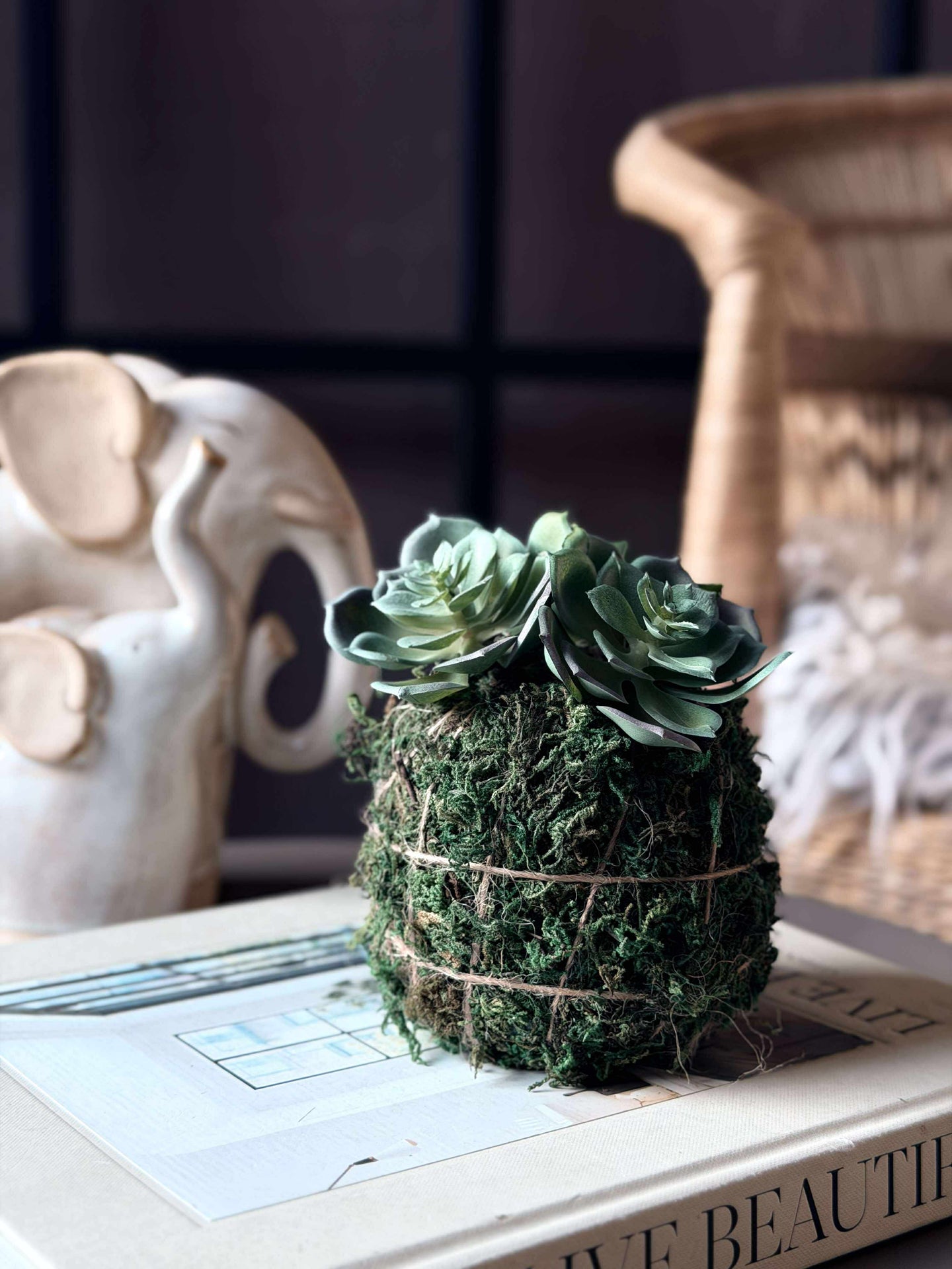 Blumen-Hauswurz-Mooskugel | Naturgetreu | Pflegeleicht – VIAMAJA.DE